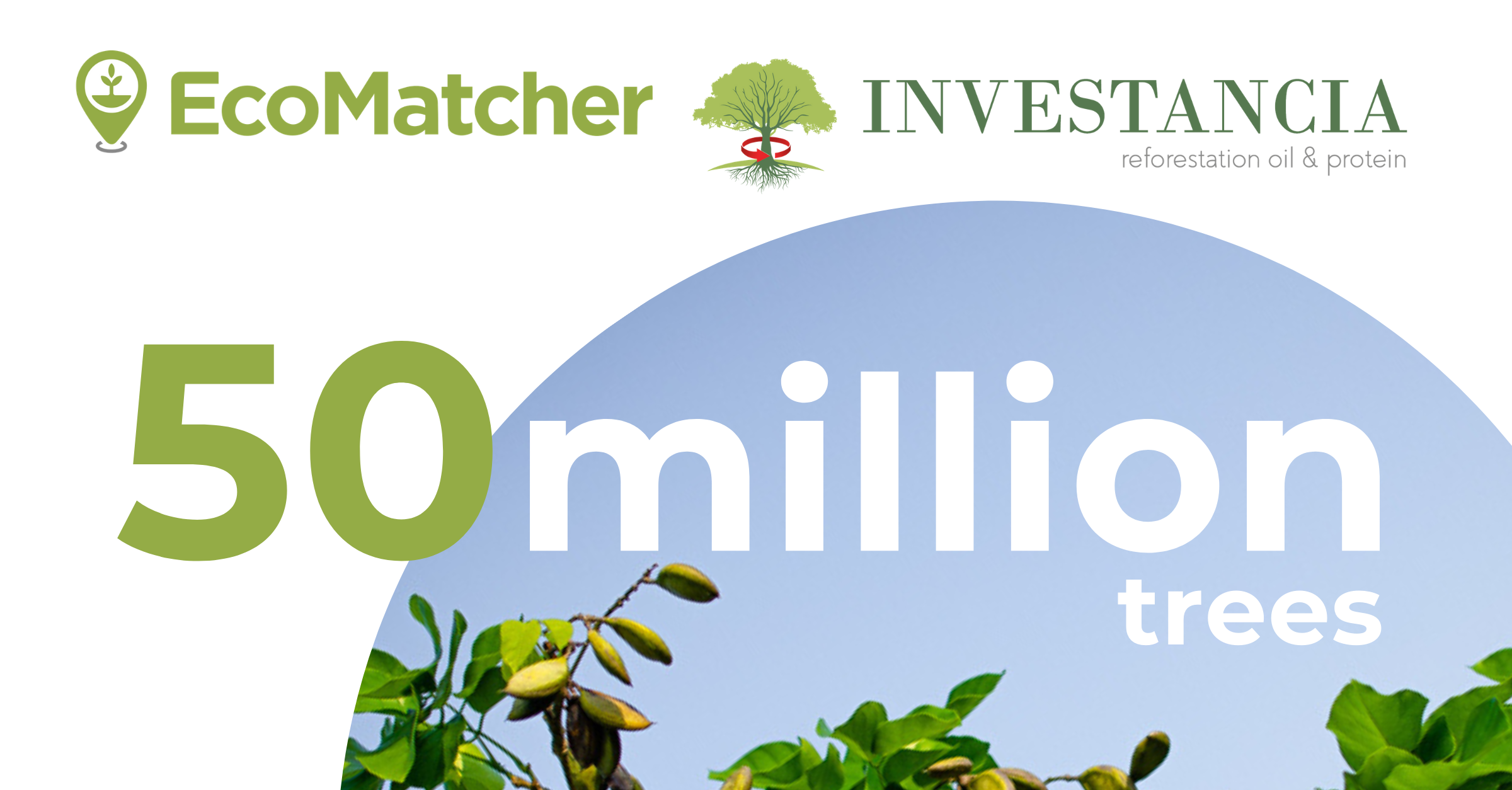 Blockchain will track 50 million trees through Investancia and EcoMatcher partnership - EcoMatcher