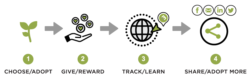 Sustainability at Work | SMART Tree Planting - EcoMatcher