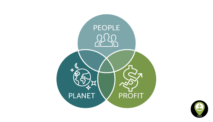 How To Make Sustainability An Everyday Part Of Your Business - EcoMatcher