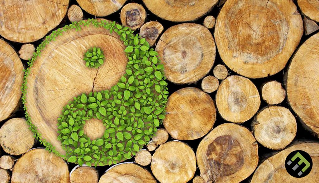 Regenerative Capitalism: Reinventing the Economic Wheel - EcoMatcher