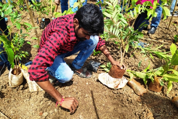 Say Trees - EcoMatcher