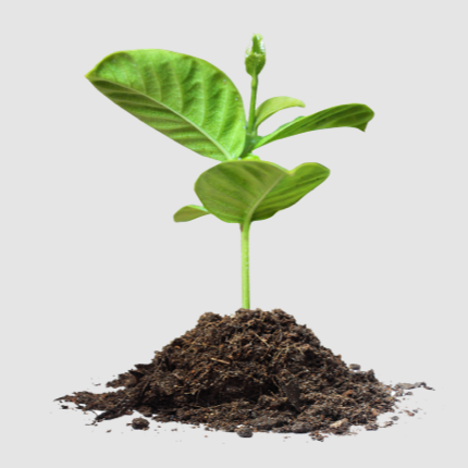 Employee Engagement - EcoMatcher