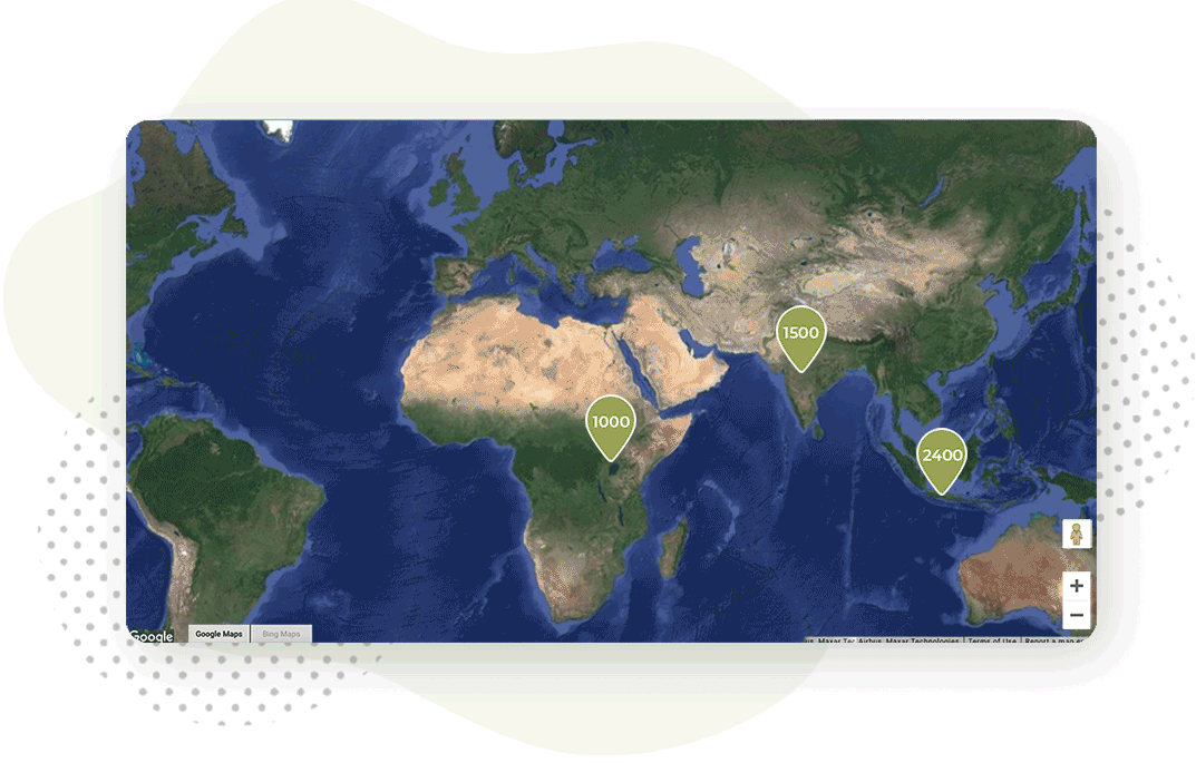 Global Forest - EcoMatcher