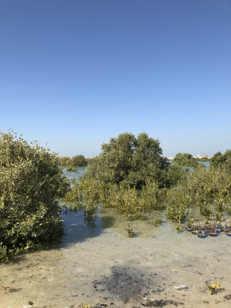 Emirates Marine Environmental Group - EcoMatcher