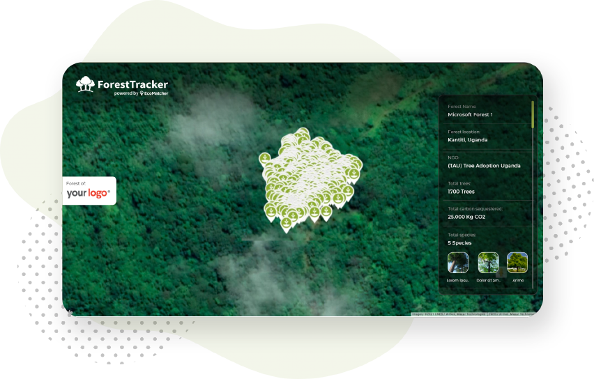 Your Own Forest - EcoMatcher