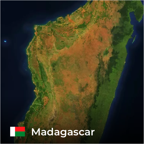 Your Own Forest - EcoMatcher