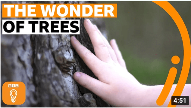 Tree Resources - EcoMatcher