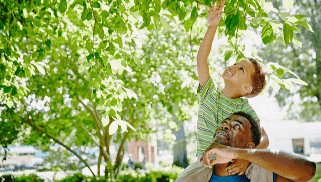 Tree Resources - EcoMatcher