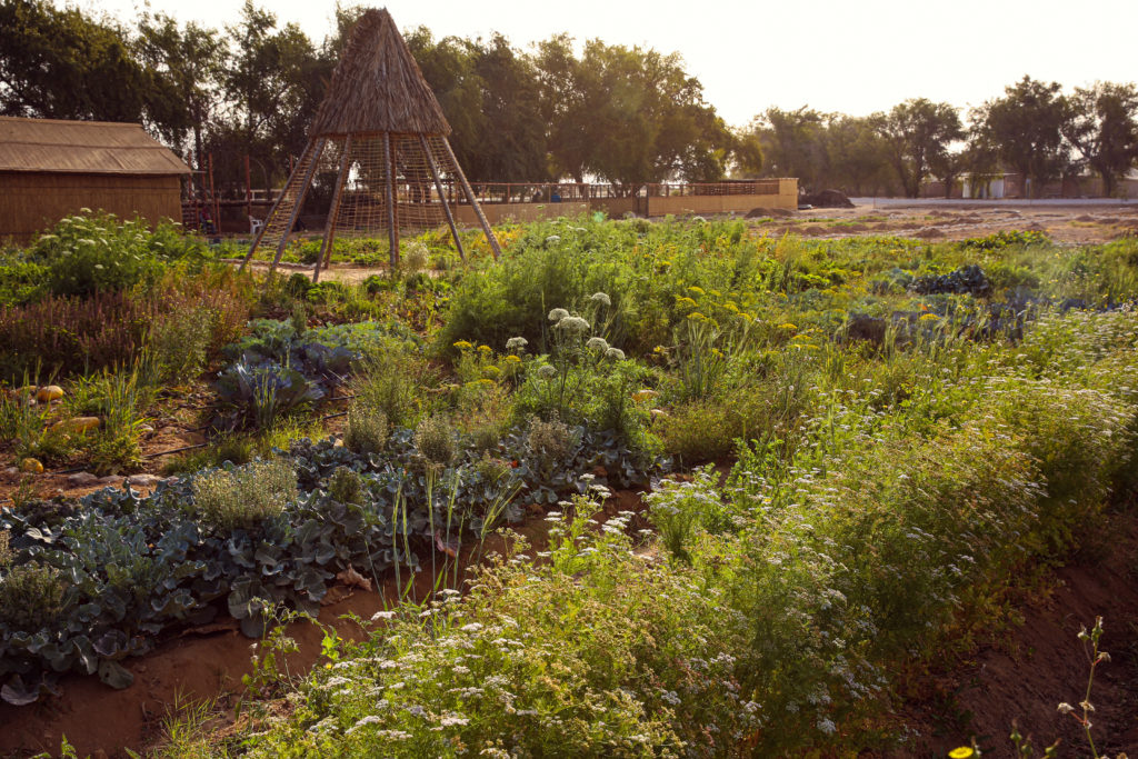 Heenat Salma Farm - EcoMatcher