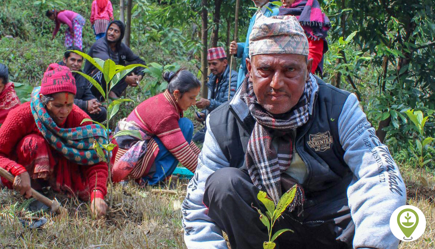 How do reforestation and social justice intersect? - EcoMatcher