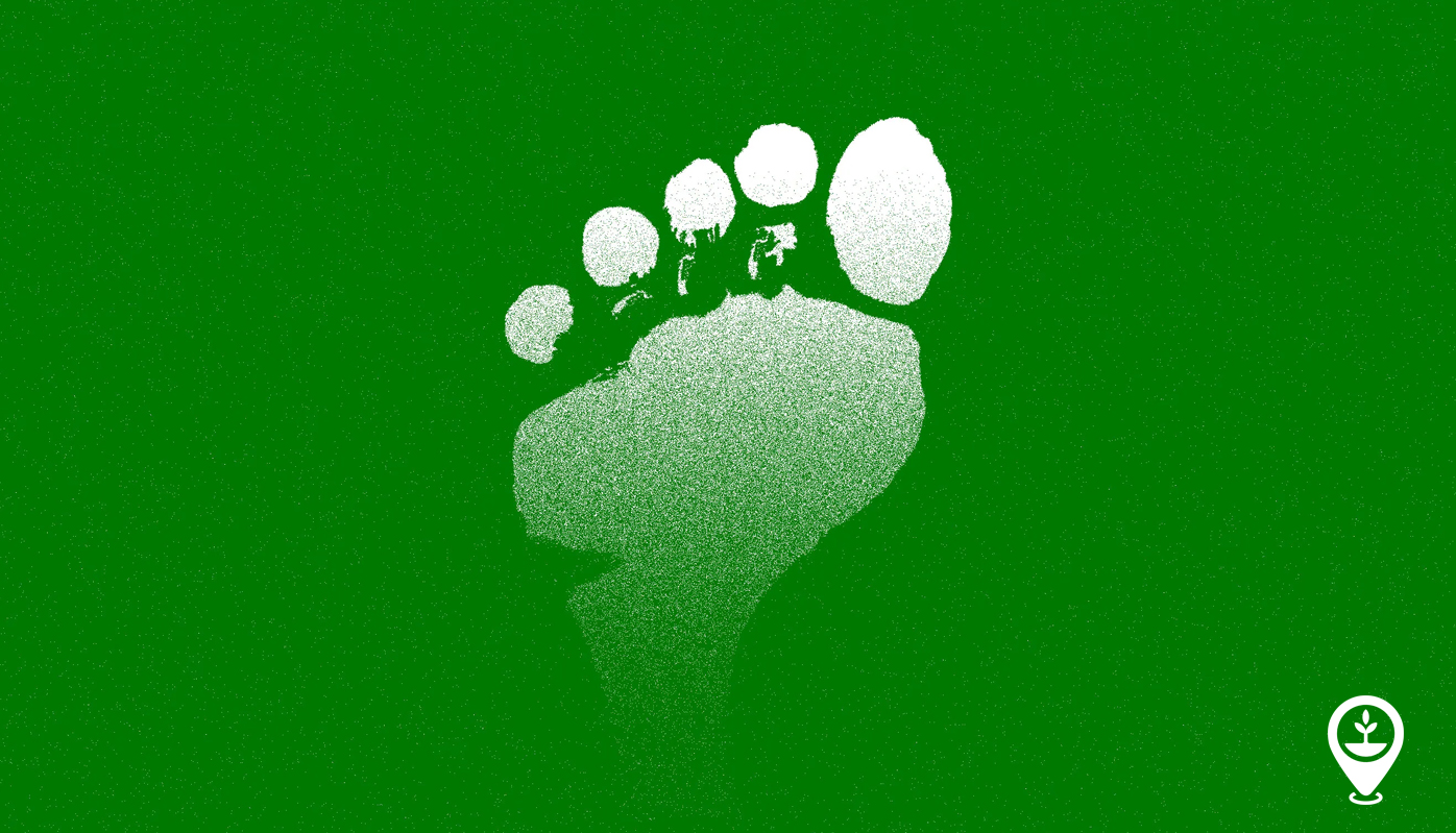 Cost-effective steps towards a greener life: Reducing your carbon ...