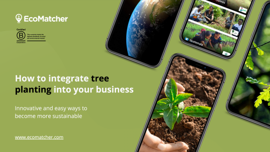 Loyalty Program - EcoMatcher