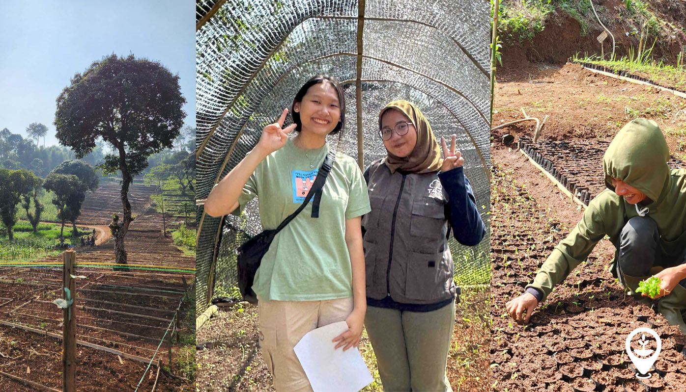 A Tree-mendous Adventure! - EcoMatcher