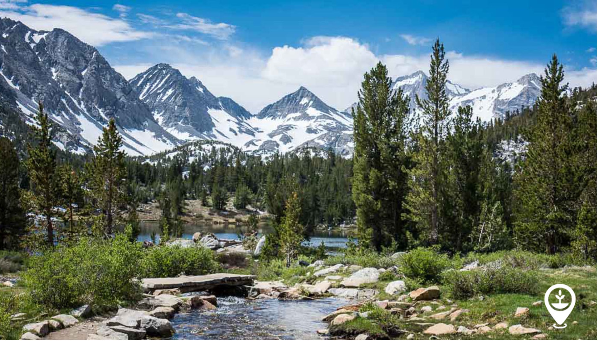 Mountain Ecosystem Pictures