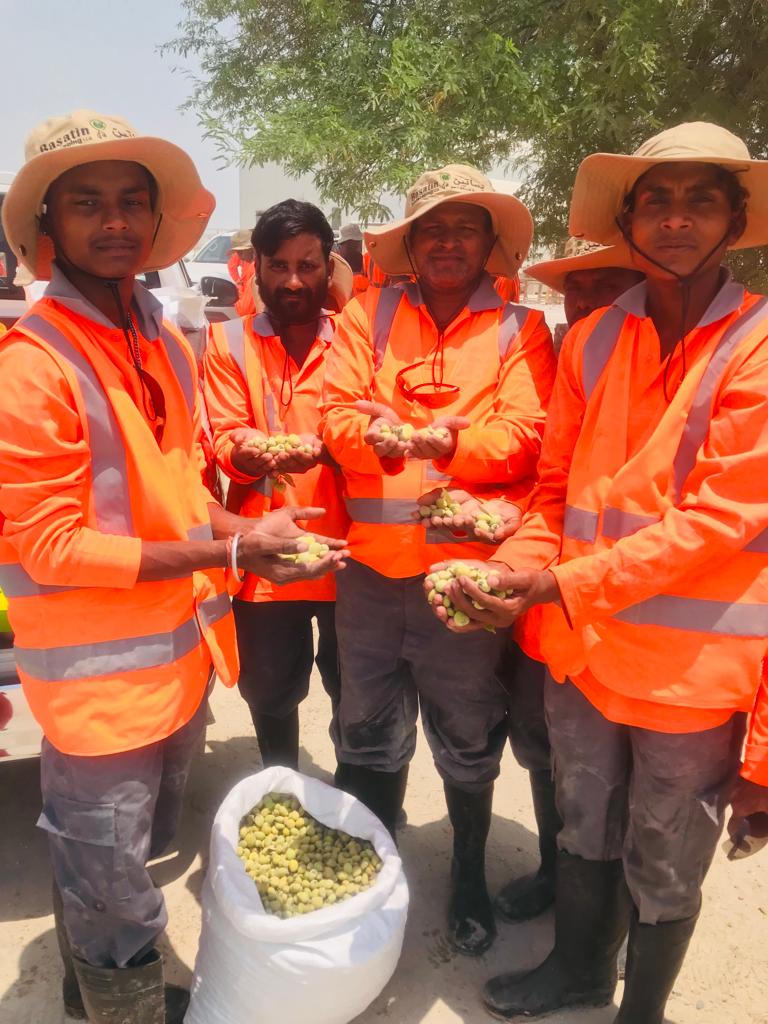 Basatin Landscaping - EcoMatcher