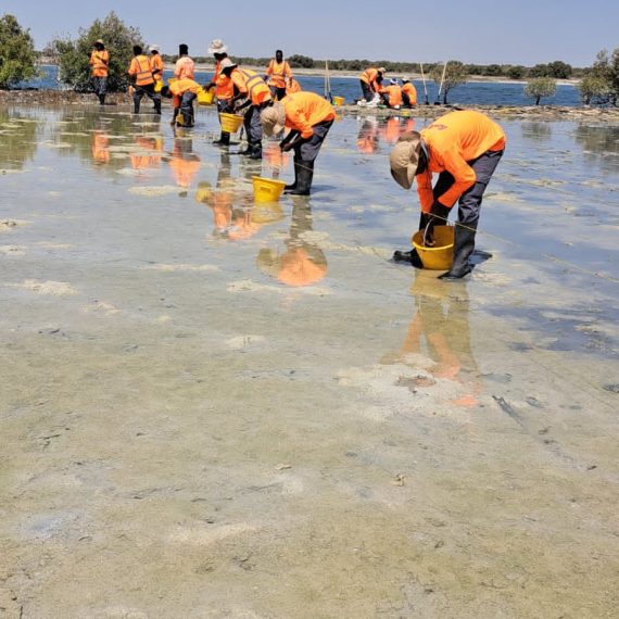 Basatin Landscaping - EcoMatcher