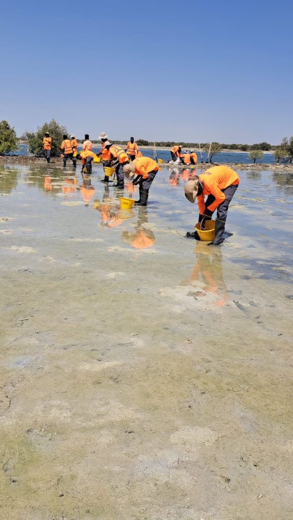 Basatin Landscaping - EcoMatcher