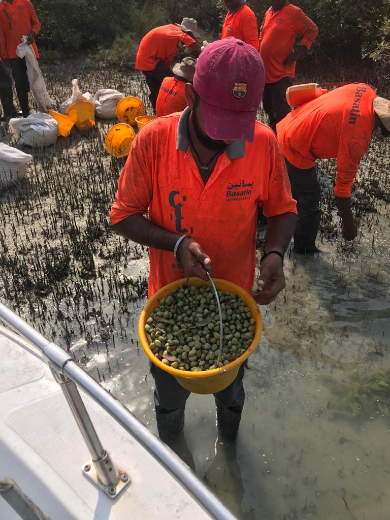 Basatin Landscaping - EcoMatcher