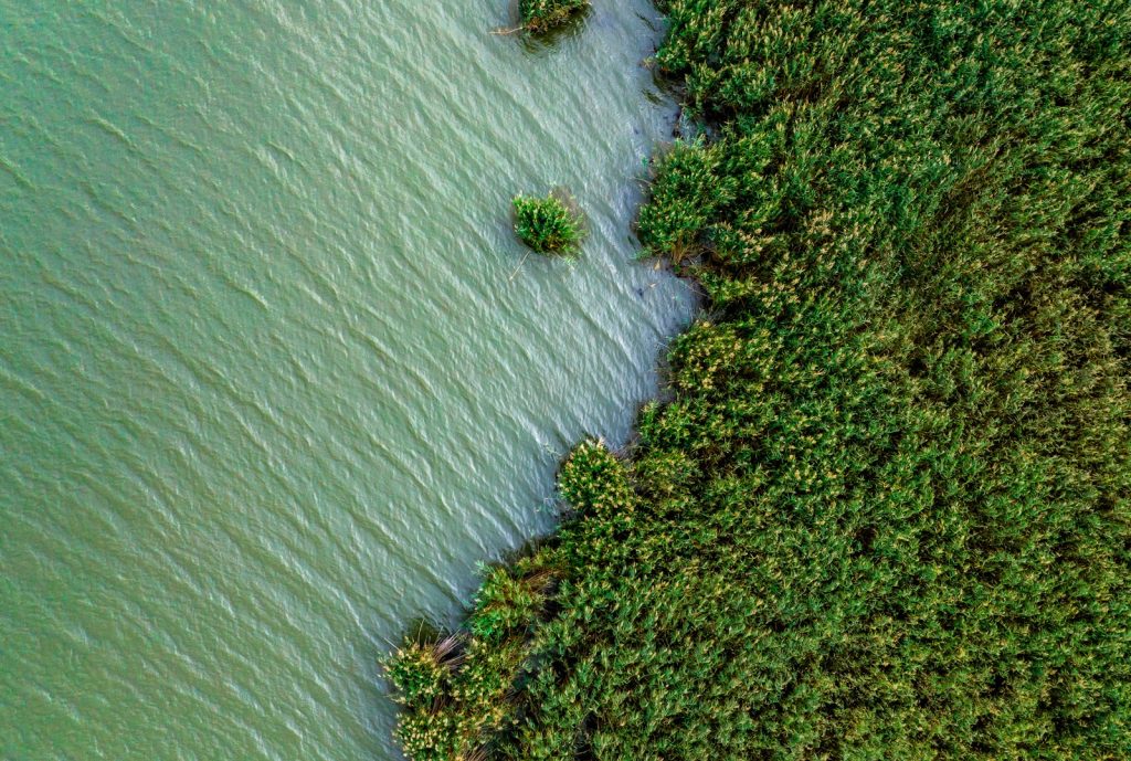 Basatin Landscaping - EcoMatcher