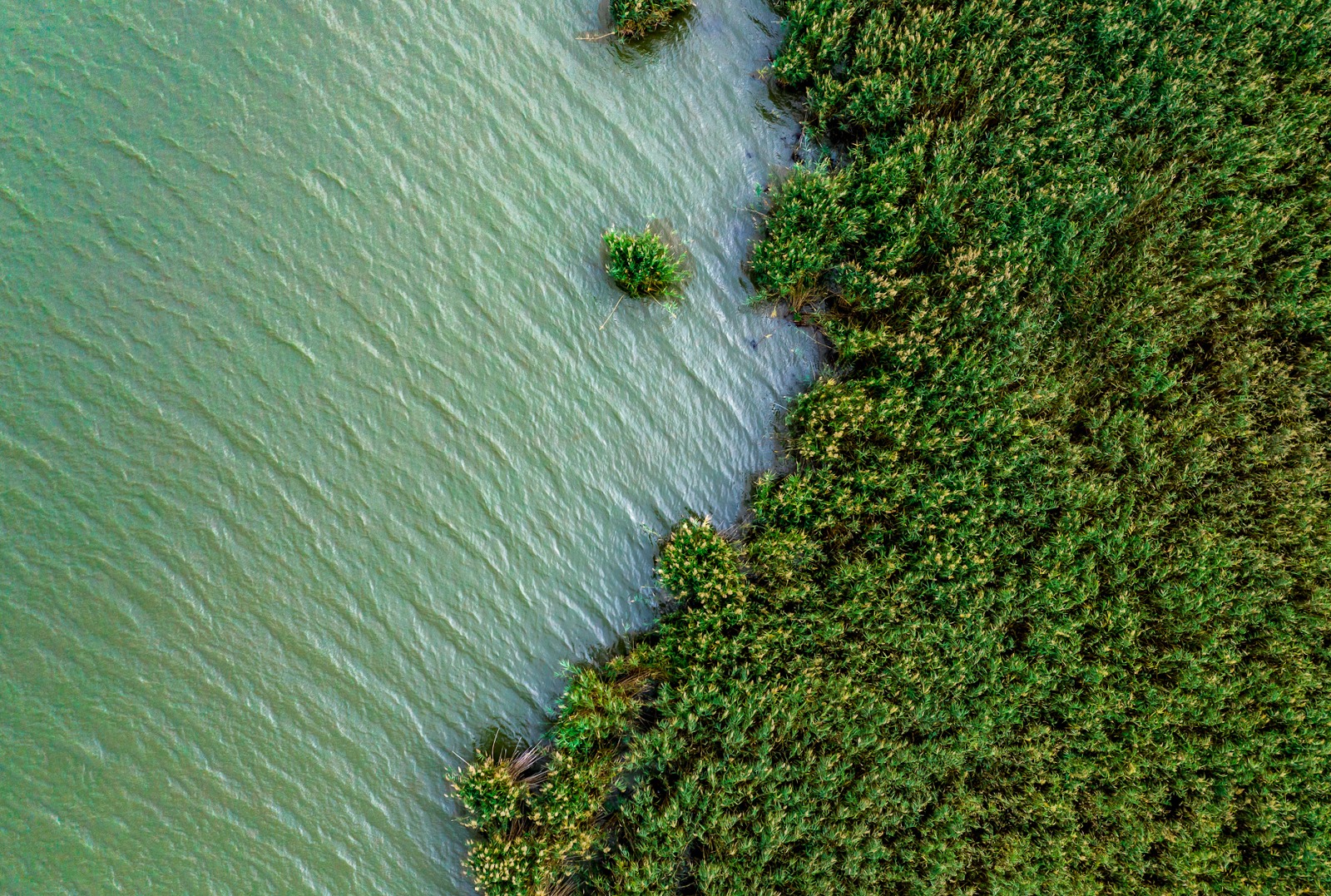 Basatin Landscaping - EcoMatcher