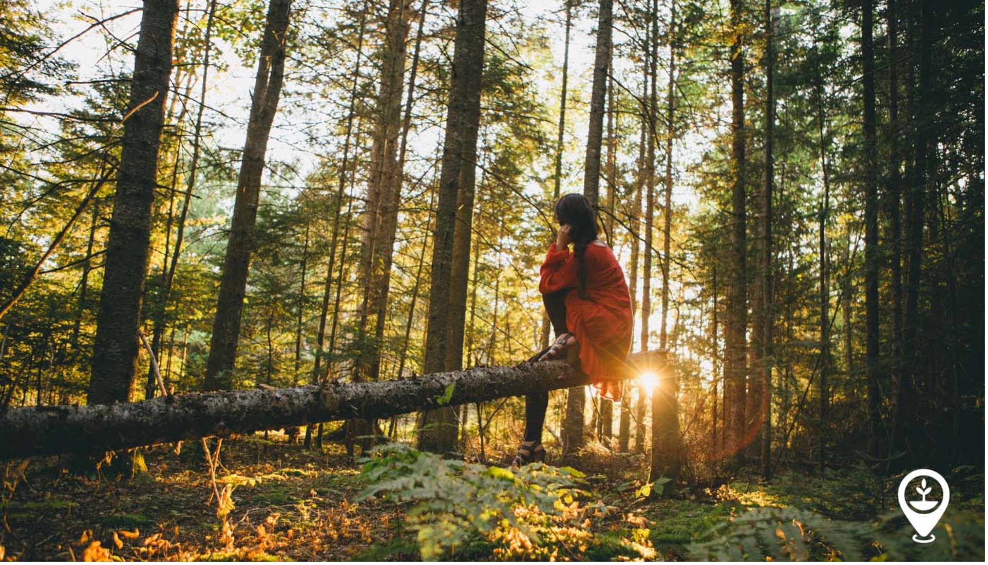 How trees benefit mental and physical health - EcoMatcher