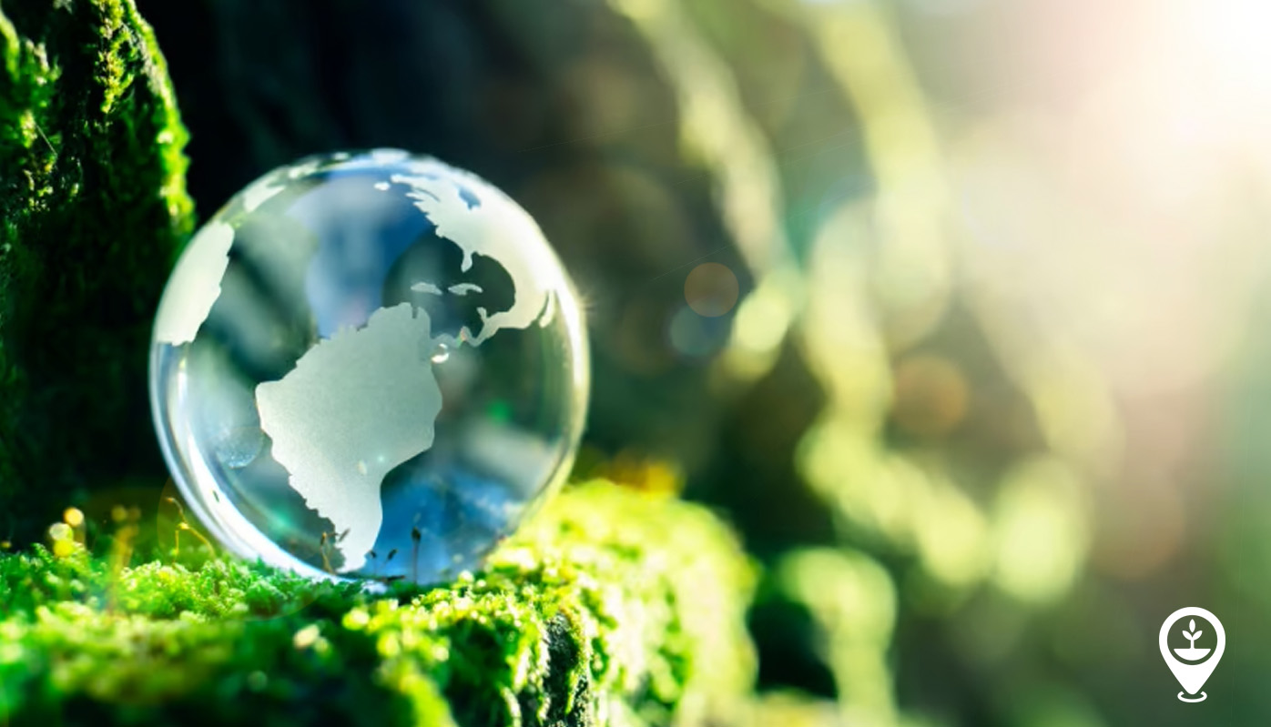 Seeding the Future: How Innovation in Climate Tech is Redefining Green ...