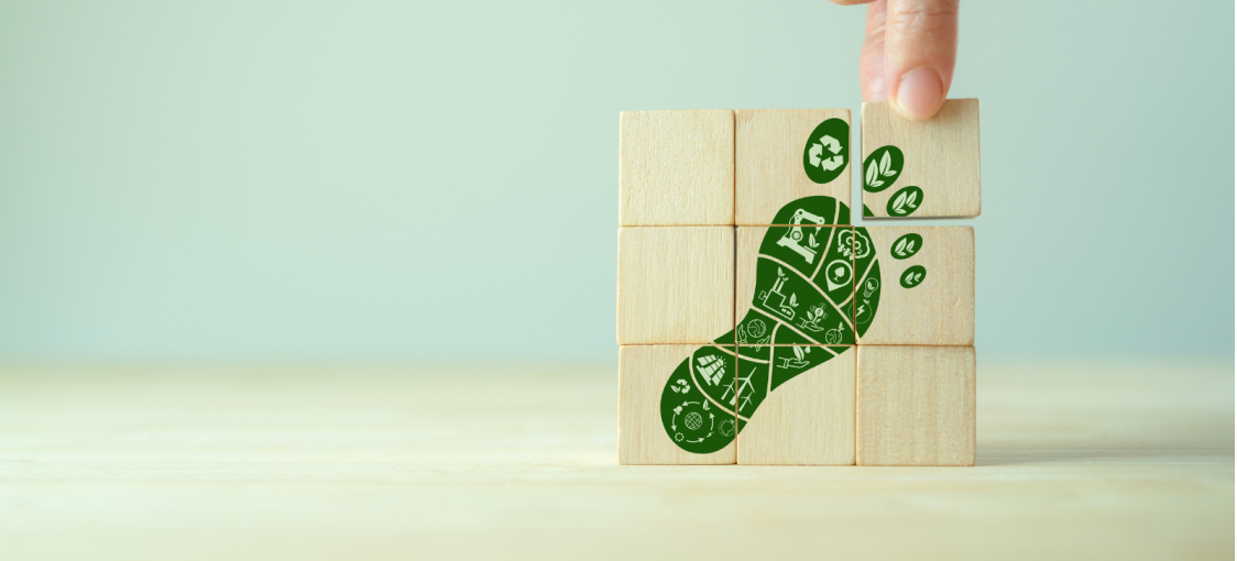 Why Trees Are Important - EcoMatcher